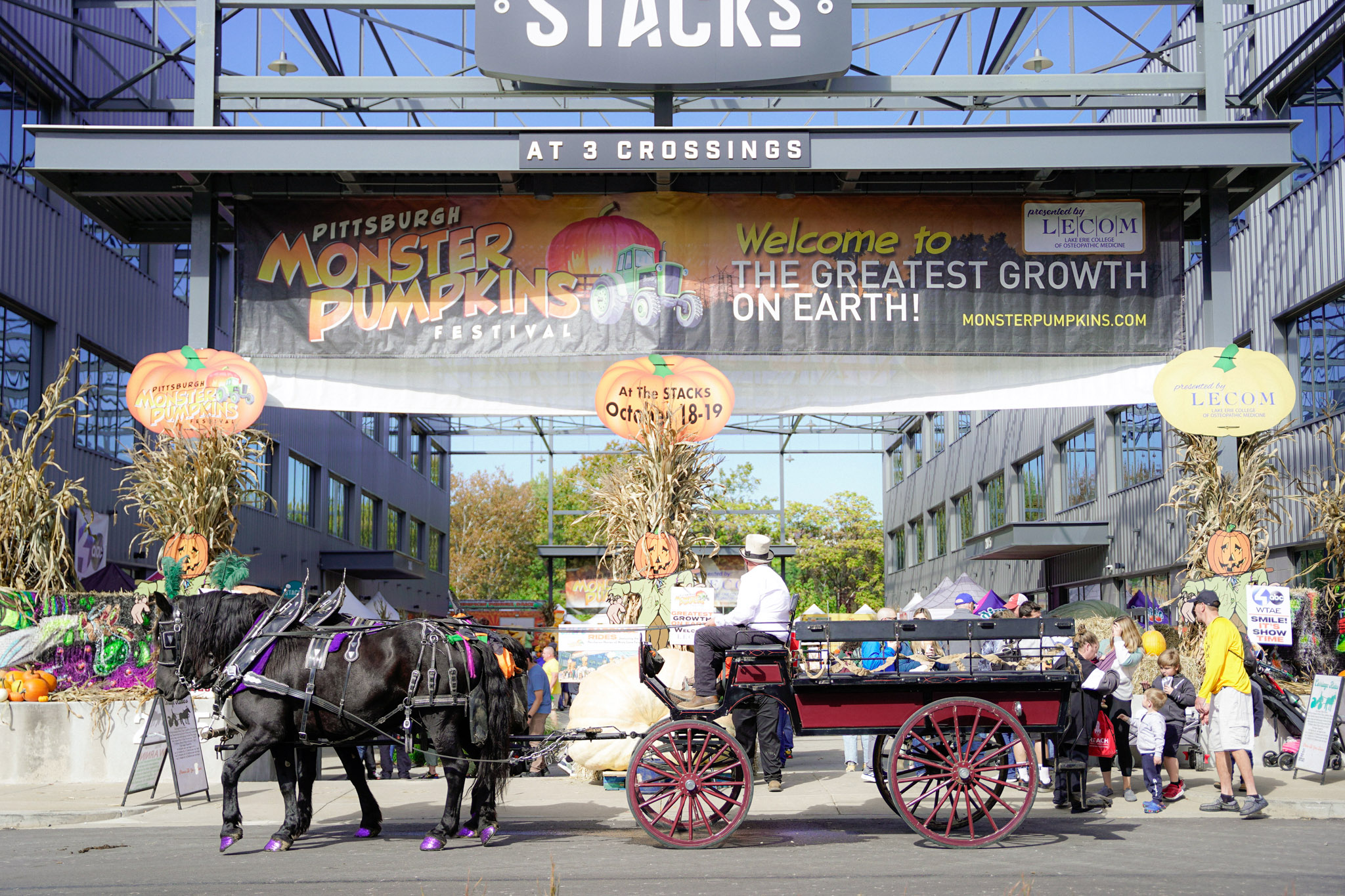 Courtyard Entrance – The World's Biggest Pumpkins…Only At Pittsburgh's ...